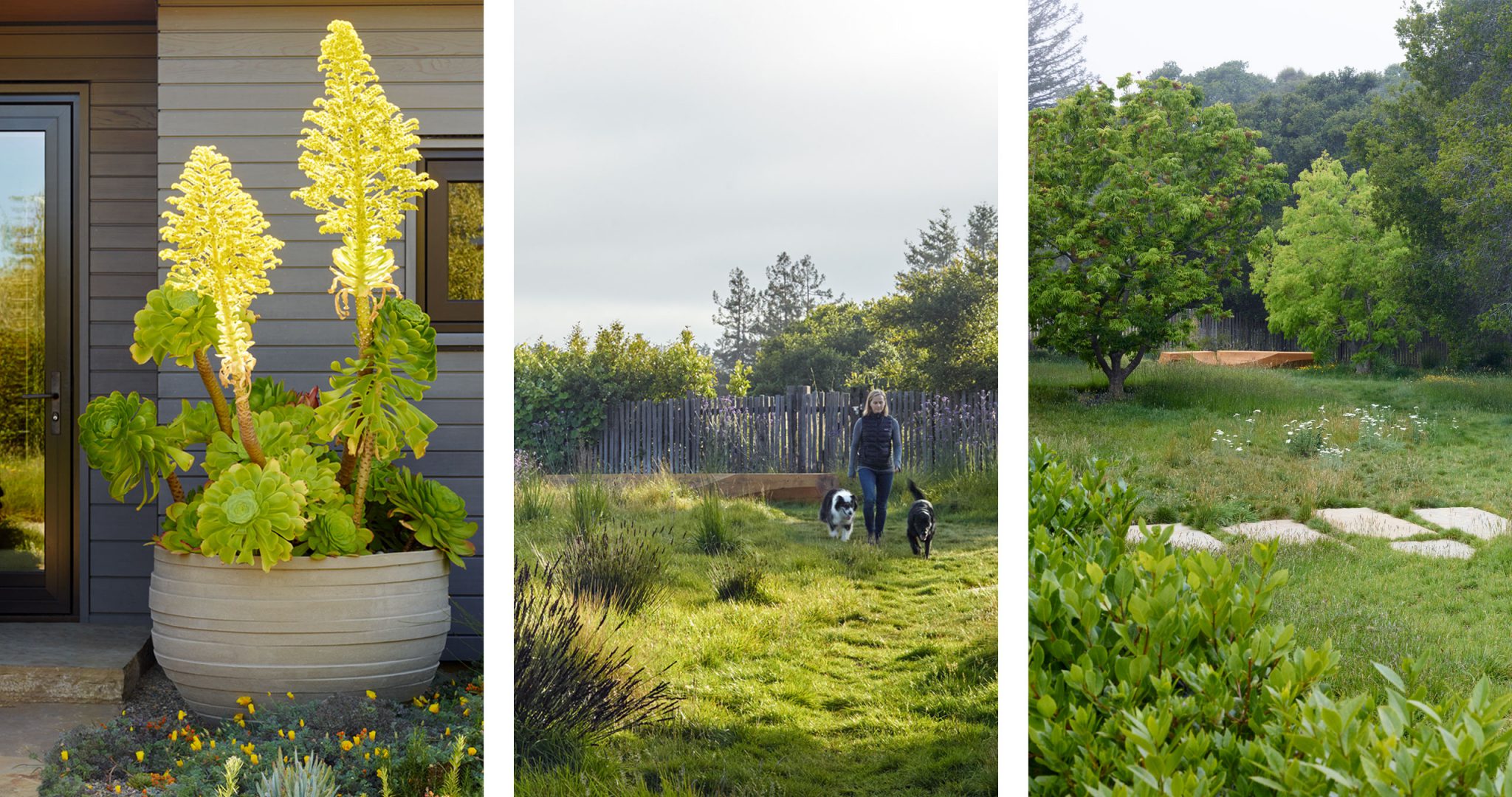 REFUGIO | Ground Studio