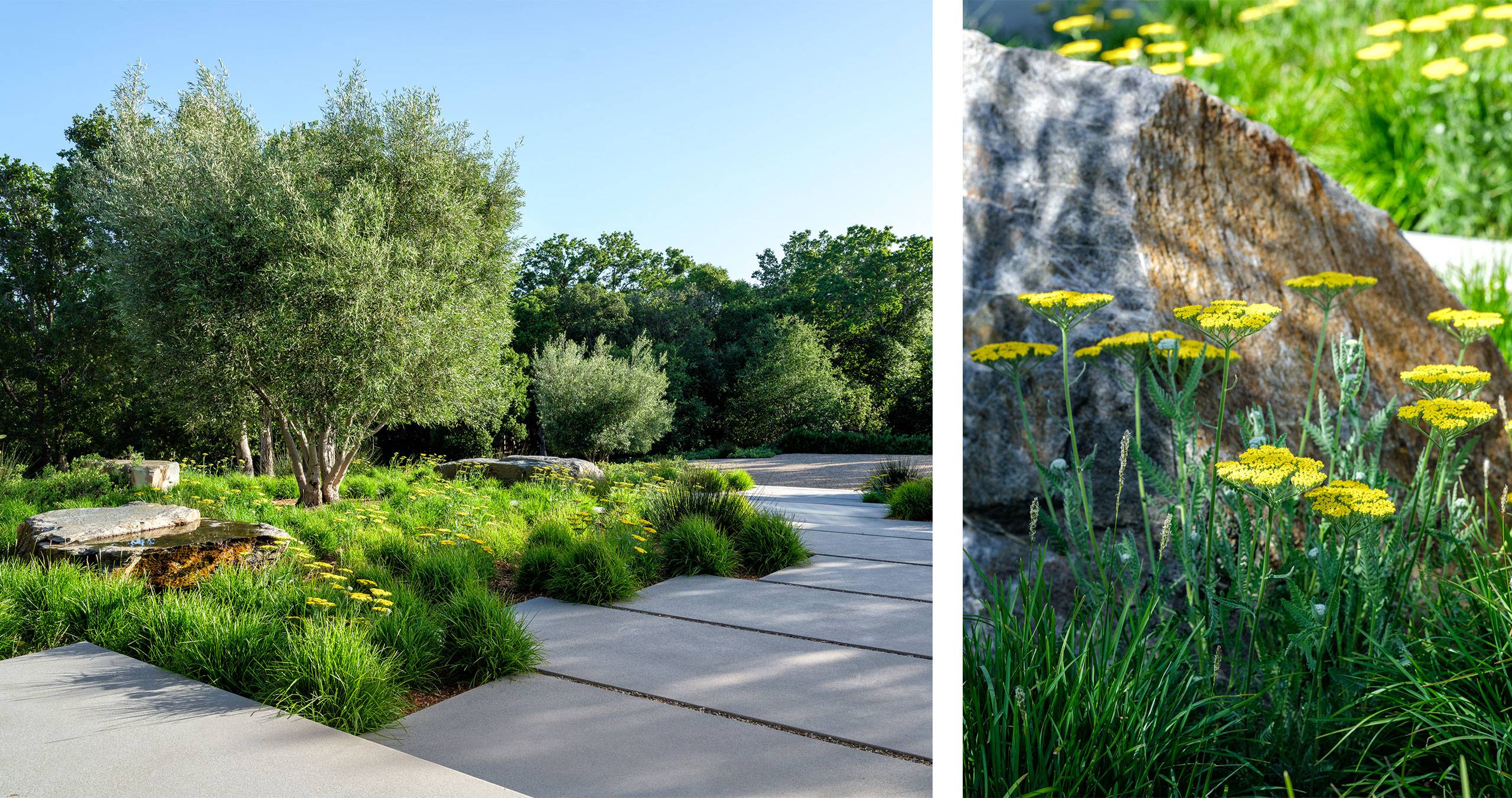 VALLEY VIEW | Ground Studio